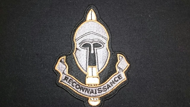 BRITISH ARMY SRR Special Reconnaissance Regiment Hoodie £22.45 ...