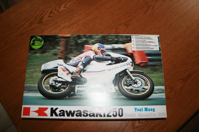 PROTAR TONI MANG Kawasaki 250 Rennmotorrad Modellbausatz 1:9 Vintage #179 NEU EUR 100,00 ...