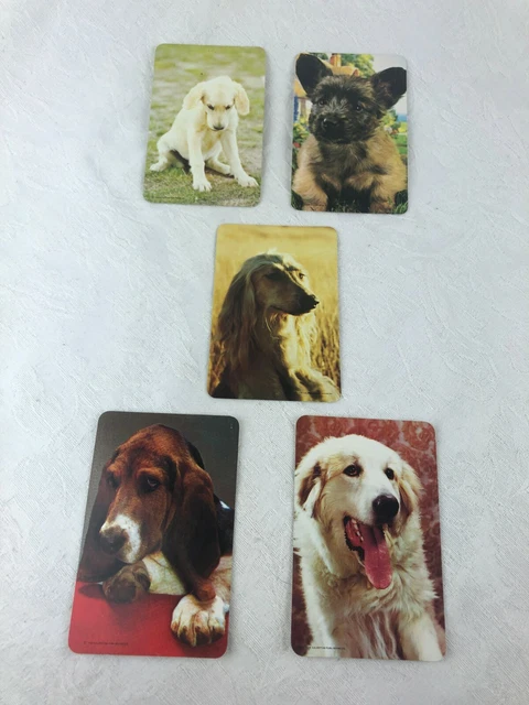 VINTAGE - SWAP Cards - Plain Back - Lot Of 5 - Different Dogs $9.95 ...