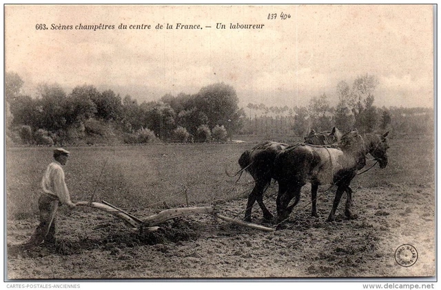 37 - SCENE champetre du centre, un laboureur EUR 40,00 - PicClick FR