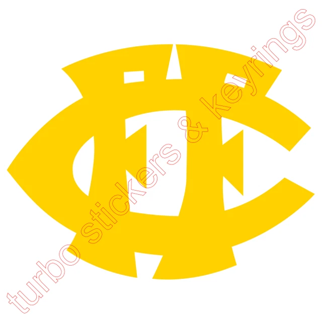 FITZROY LIONS FOOTBALL CLUB LOGO AFL VINYL STICKER 8 COLOURS CAR 315MM ...