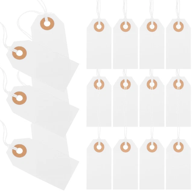 100 PCS HOLE Hang Card Clothing Tag Labels Jewelry Tags for Selling $23 ...