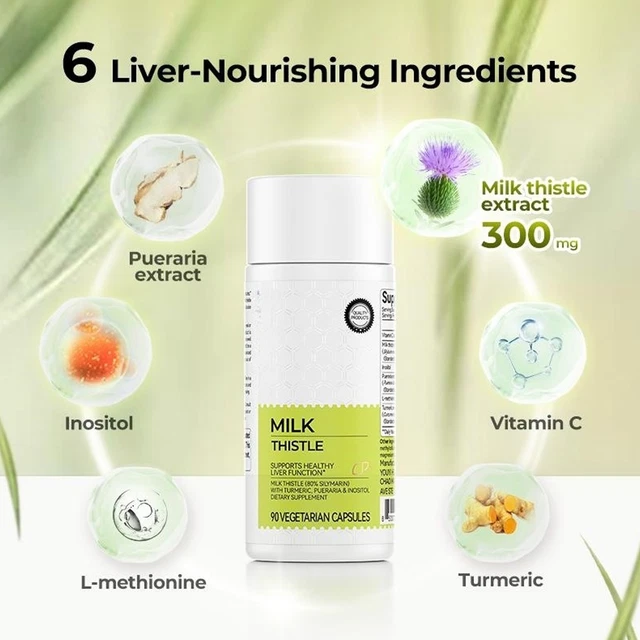 2X OXYENERGY SILYMARIN Milk Thistle Supports Healthy Liver Function ...