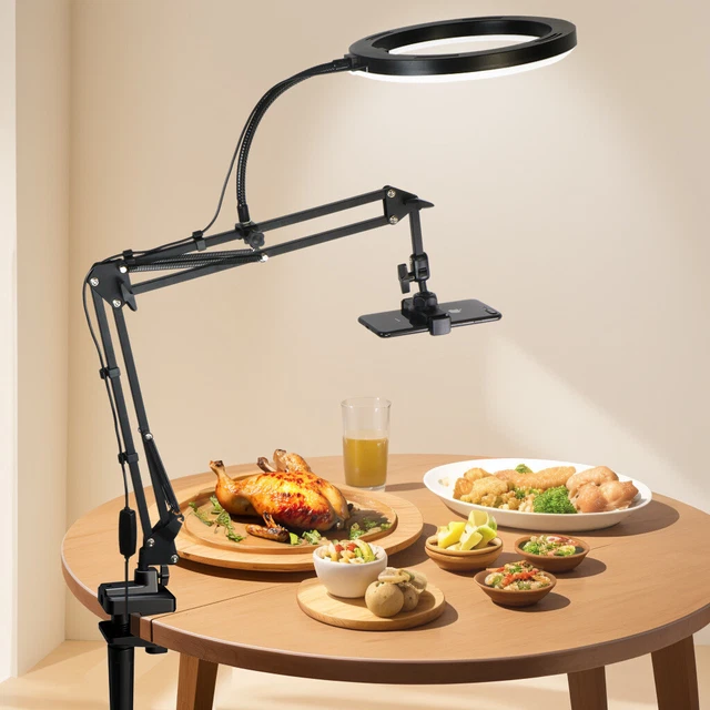 OVERHEAD PHONE MOUNT w/ Ring Light Flexible Arm Tripod For Phone Camera ...