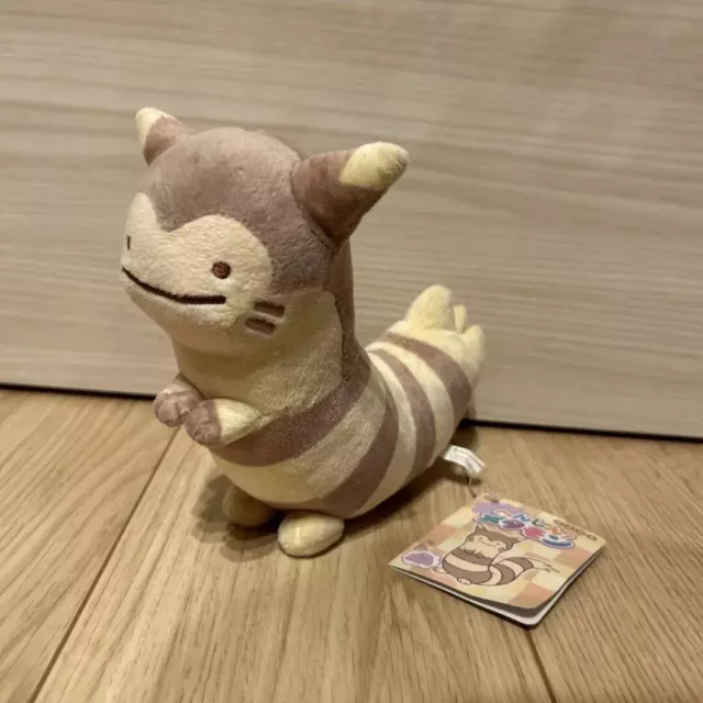 POKÉMON TRANSFORMATION ! Peluche Ditto (Furret Wiesenior Fouinar ...