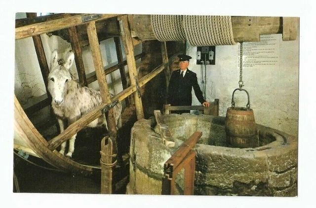 ISLE OF WIGHT : Carisbrooke Castle : Donkey in the Wheel EUR 2,14 ...