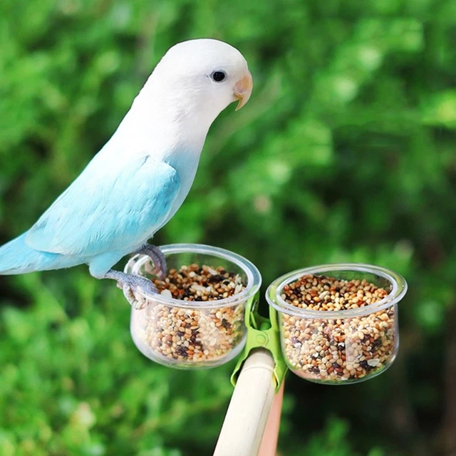 PET BIRD FEEDER Cup Bowl Parrots Gym Cup Clip-on Bird Feeder $11.51 ...