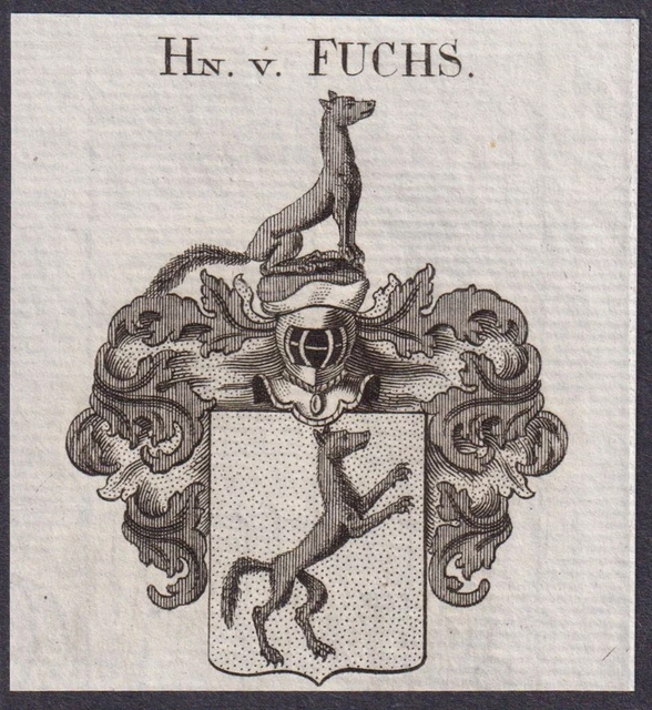 FUCHS ARMOIRIES COAT Of Arms Adel Héraldique Gravure sur Cuivre 1820 ...