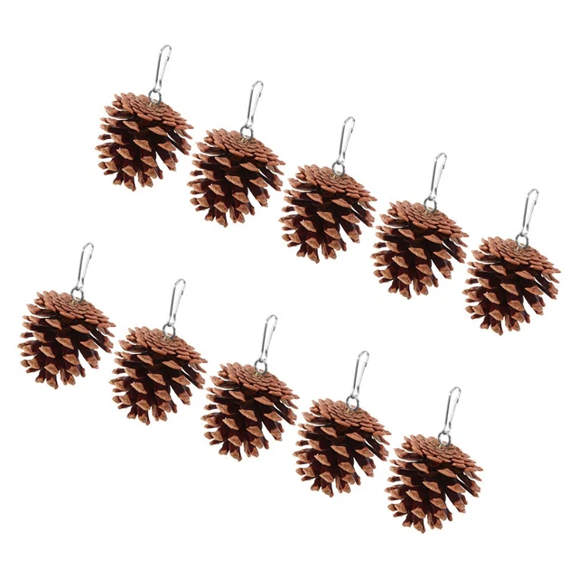 10 PCS BIRD Chewing Toys Parrot Foraging Cage Bite Hanging Plaything ...