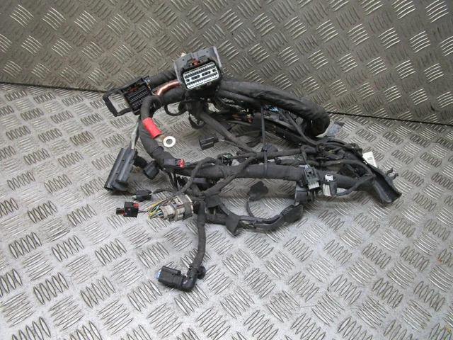 2018 FORD FIESTA 1,1L Duratec Kabelbaum H1Bt-12C508 Oem EUR 88,35 ...