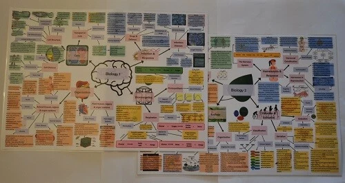 AQA GCSE COMBINED Science Trilogy Revision Mind Maps Laminated A3 £12. ...