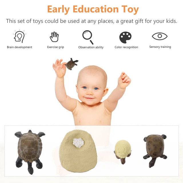 LIFE CYCLE MODELS Tortoise Figurine Turtle Life Cycle Figurines £9.53 ...