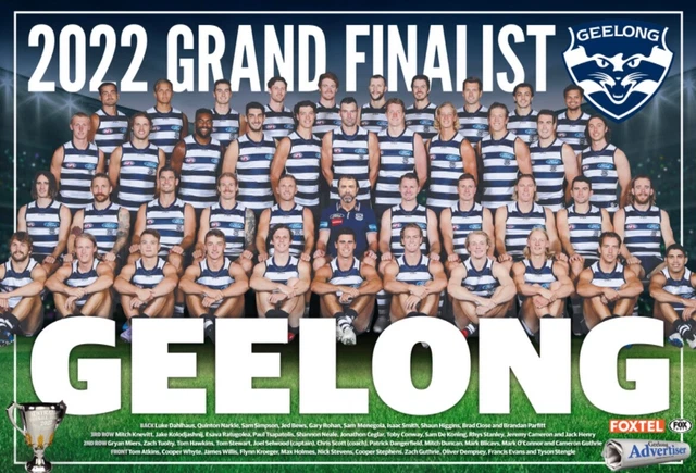 GEELONG CATS TEAM POSTER,AFL FOOTBALL PREMIERS ,SWANTIGERS MELBOURNE ...