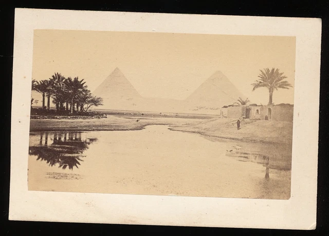 WILHELM HAMMERSCHMIDT PICCOLO albumina foto cartone - piramidi di Giza ...