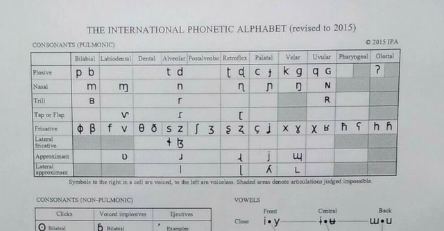 INTERNATIONAL PHONETIC ALPHABET Chart 5 mil ~ Laminated ~ FREE Shipping ...
