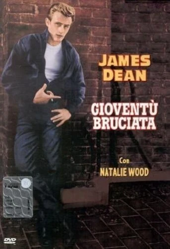 GIOVENTÙ BRUCIATA (DVD) James Dean Natalie Wood Sal Mineo Jim Backus ...