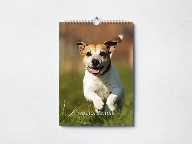 JACK RUSSELL CALENDAR 2024 | Monthly Wall Calendar, A4 | Hanging ...