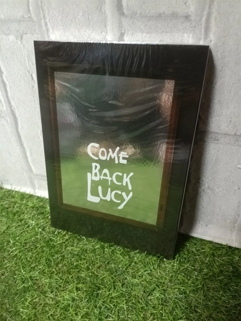 COME BACK LUCY: The Complete Series (Network DVD Mirror Slipcase RARE ...