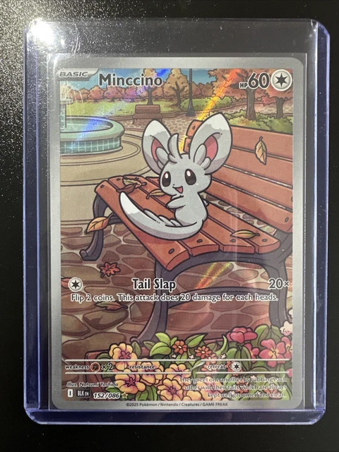 2025 MINCCINO IR 152/086 SV: Black Bolt English PACK FRESH NM Pokemon ...