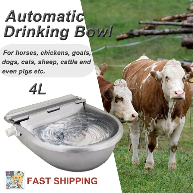 4L STAINLESS WATER Trough Bowl Auto Drinking For Dog Horse Chicken Auto ...