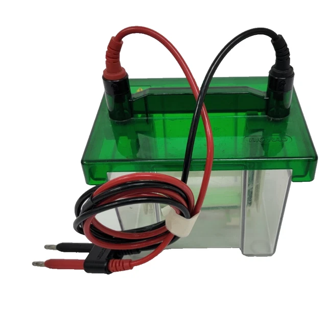 BIO-RAD MINI-PROTEAN II Cell 125BR 600VDC Electrophoresis Chamber £160. ...