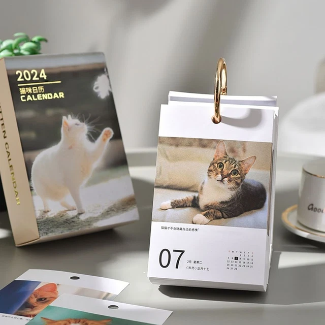 CARTOON CAT 2024 Calendar Date Vertical Calendar Desktop Calendar ...