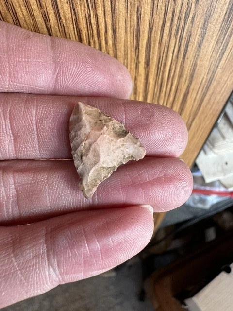 .75” BIRD POINT Arrowhead native American Indian artifact pre-1600 ...