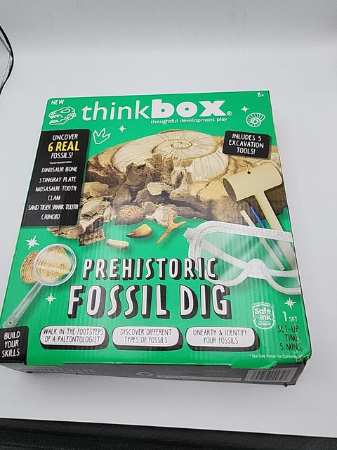 FOSSIL DIG KIT, Excavate 6 Prehistoric Fossils Including Real Dinosaur ...