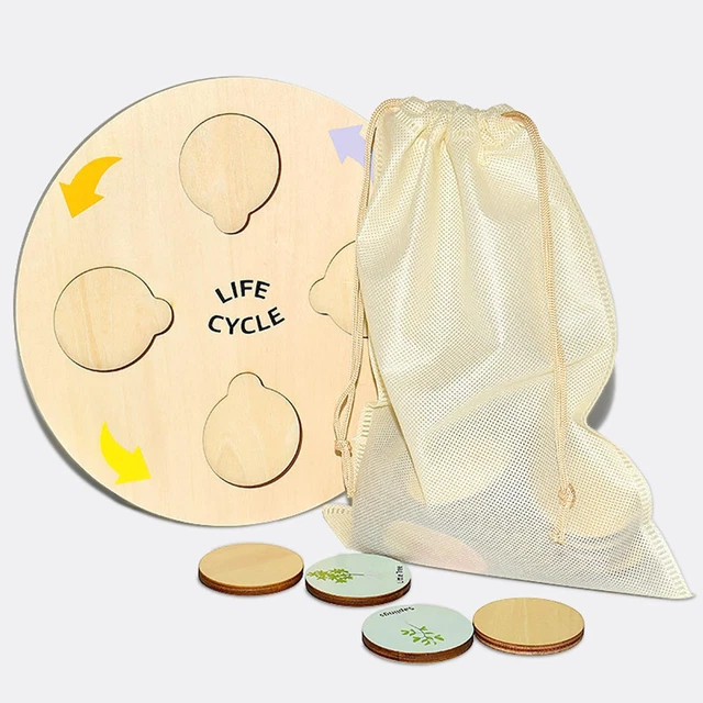 LIFE CYCLE TRAY Flash Cards Montessori Life Cycle Tray for Children ...