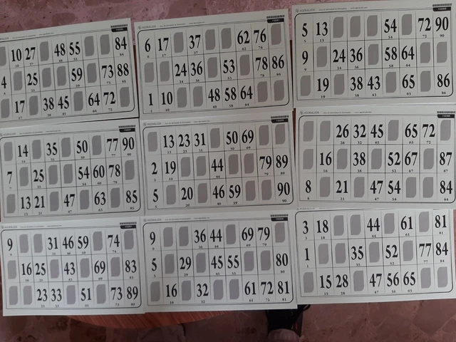 9 CARTONS LOTO Pour Malvoyant Gros Chiffres EUR 25,00 - PicClick FR
