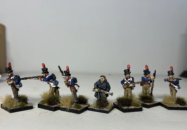28MM PERRY MINIATURES Napoleonic Wars Spanish Militia With Prist EUR 79 ...