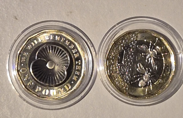 PAIR OF 2025 £1 coins The Poppy Remembrance and Bee one pound coin in ...