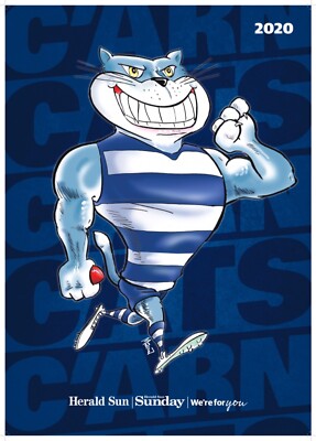 GEELONG CATS TEAM POSTER,LAMINATED, AFL FOOTBALL, RICHMOND TIGERS,SWANS ...