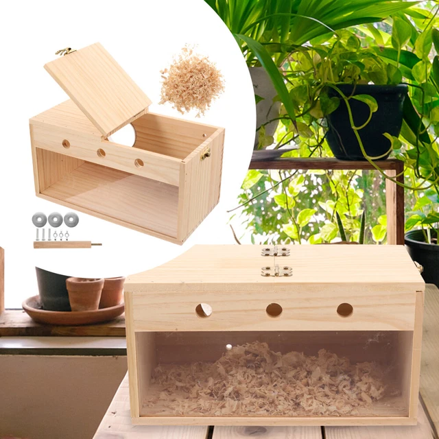 BOX D'ÉLEVAGE DE Perroquets Maisons D'oiseaux Fenêtre Nichoir Clair ...