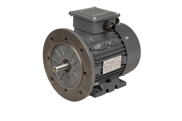 TEC 3PH CAST Iron Electric Motor 37kW, 4 Pole, B5, IE2, 225 Frame £3,282.70 - PicClick UK