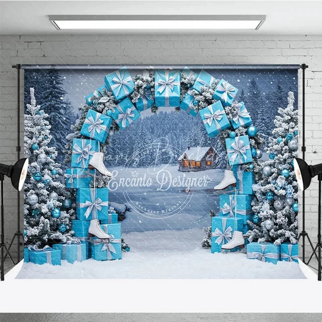LOFARIS WINTER WONDERLAND Photography Backdrop, Blue Gift Box Arch with ...