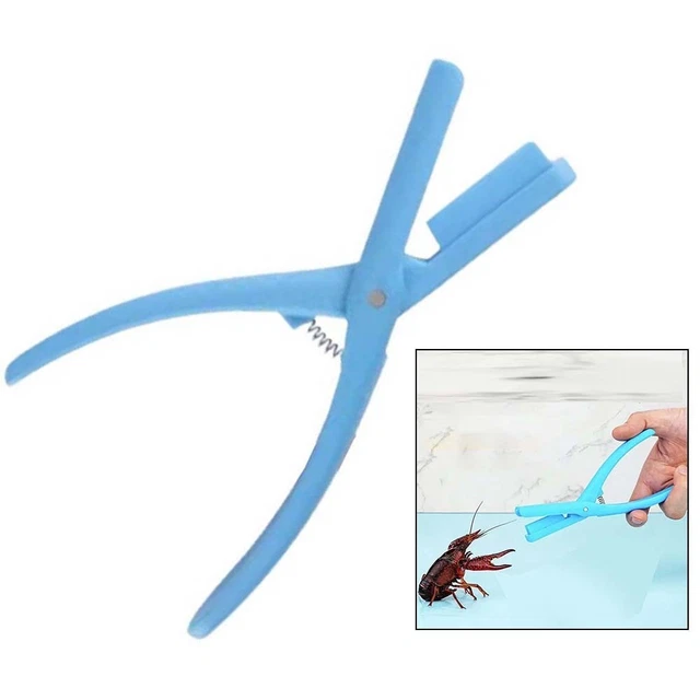 EFFORTLESSLY REMOVE CRAYFISH Shells Time saving Tool for Seafood Lovers ...