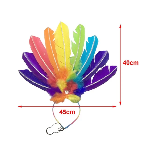 CARNIVAL FEATHER HEADDRESS Hair Hoop Hair Band Dance Headpiece for ...