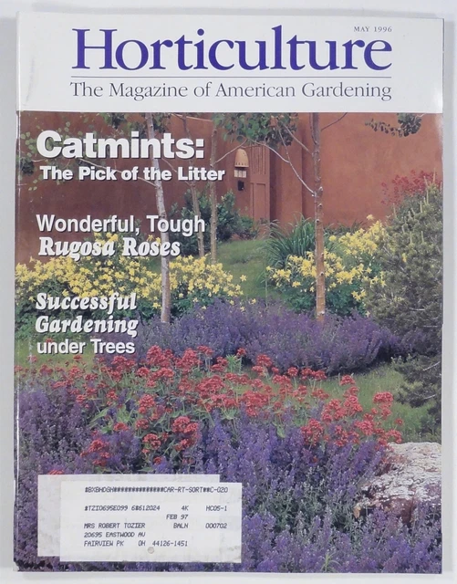 1996 HORTICULTURE CATMINTS RUGOSA ROSES gardening under trees GREAT ...