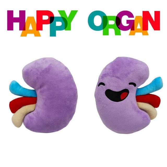 PLUSH HAPPY ORGAN Kidney Stuffed Body Organ Toy Health Education Doll ...