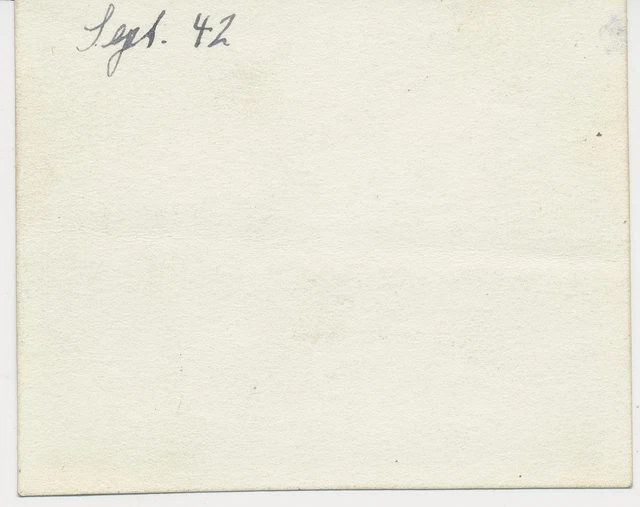 FLUGZEUG STUKA 3.STG2 Ju 87- mit Schriftzug Der Eiserne ...