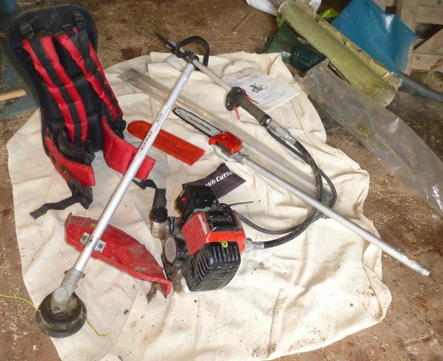 ECKMAN 2-IN-1 TWO stroke Backpack 'multi-system' chainsaw lopper and ...