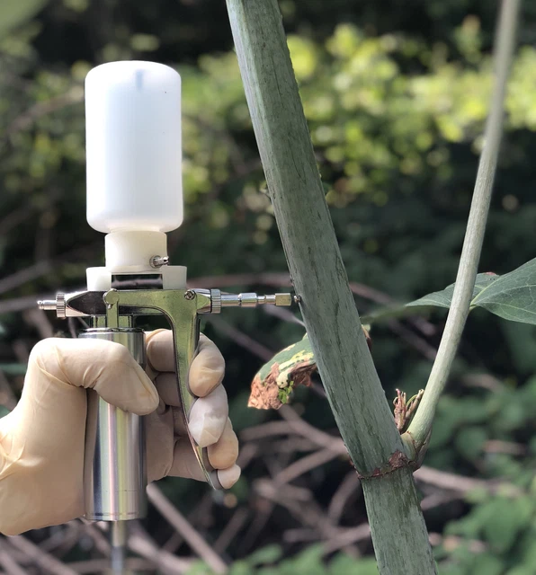 2024 PROFESSIONAL JAPANESE Knotweed Killer Injector - PRO BUNDLE w/ 15 ...