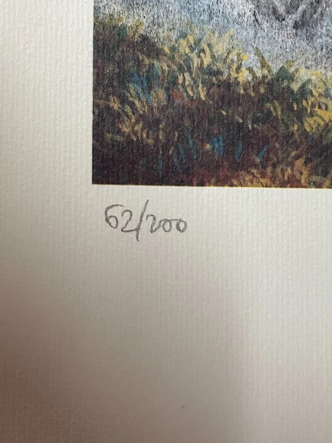 STAMPA NUMERATA 66/200 Locomotiva Gr. 691.029 FS disegno di Massimo Cecchetti EUR 7,00 - PicClick IT