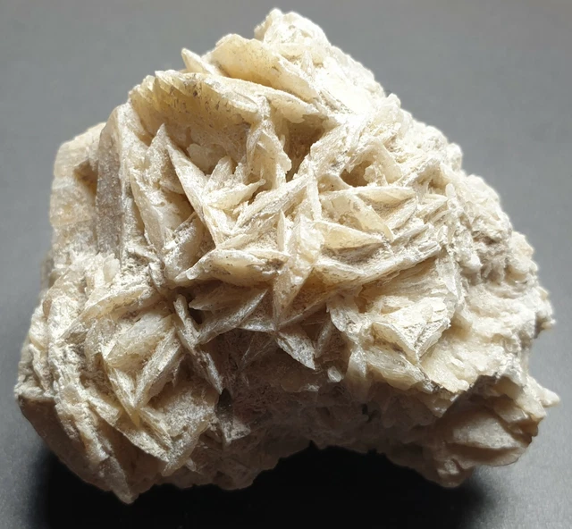 DESERT ROSE GYPSUM Selenite Natural Mineral Specimen SA Lapidary 90.62 ...