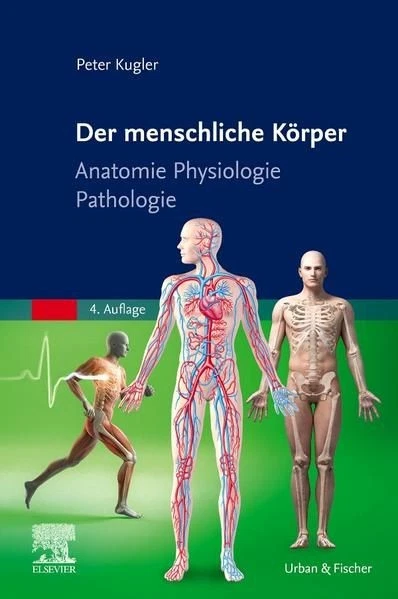 DER MENSCHLICHE KÖRPER Anatomie Physiologie Pathologie Kugler, Peter ...