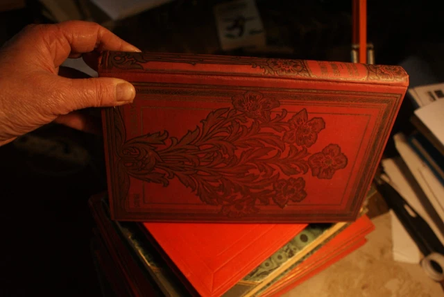 LE MIRAGE DE L'INDE Bertrand MAHÉ DE LA BOURDONNAIS par Etienne BUISSON ...