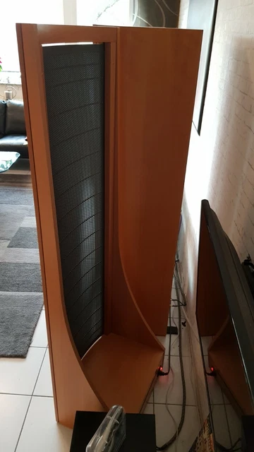 MONITOR DB IMAGINE Lautsprecher HiFi HighEnd Flächenstrahler EUR 990,00 ...