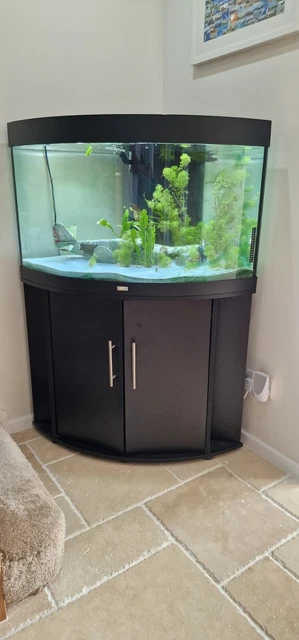 JUWEL TRIGON 190 Curved Corner aquarium Fish Tank + Black Cabinet pump ...
