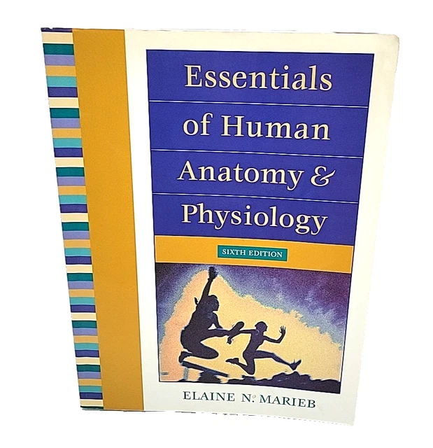 Essentials Of Human Anatomy And Physiology 6th Edition By Elaine N 5888